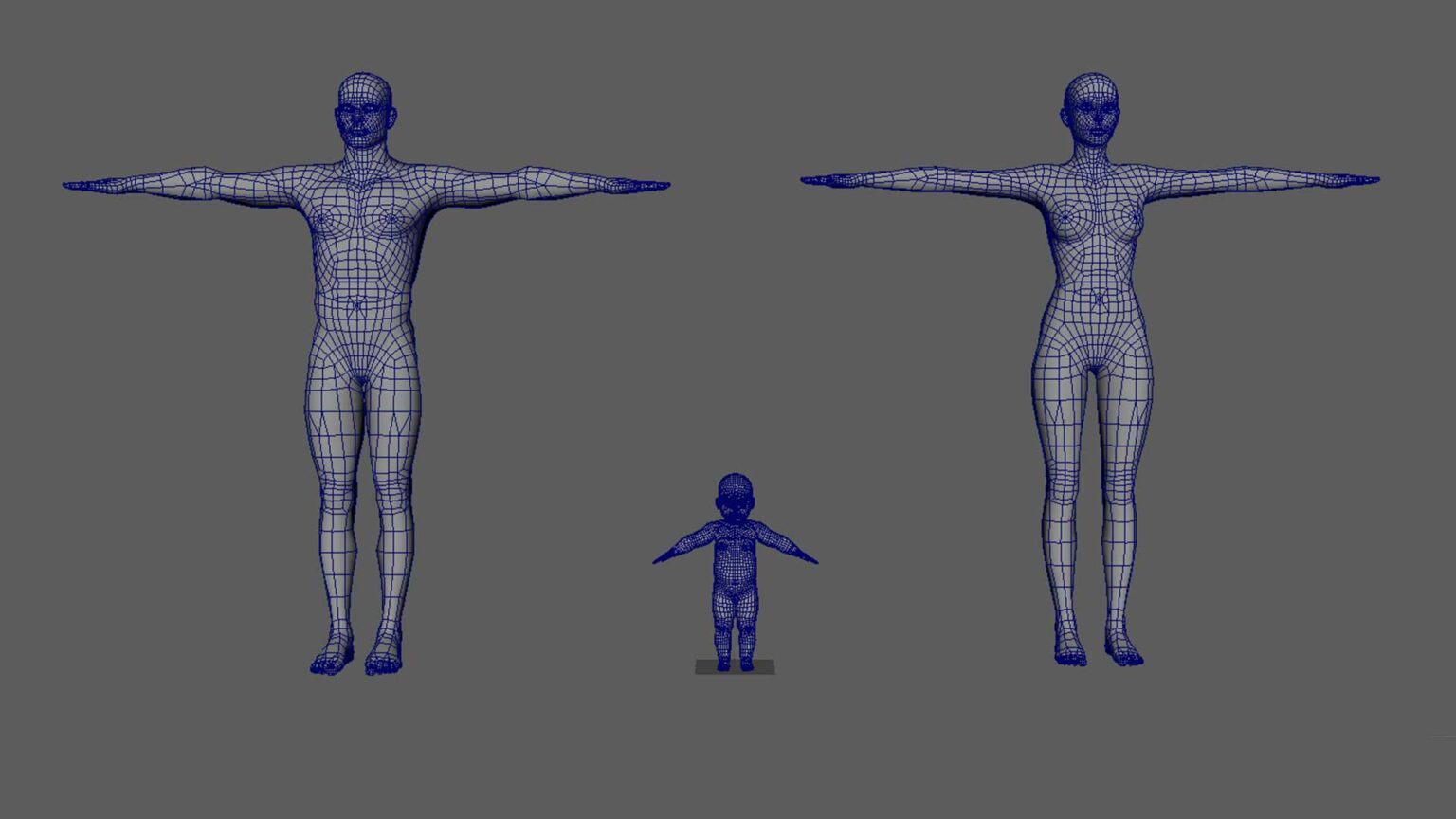 Human Body Base Mesh Rigged 3D Model Pack - Animatics Asset Store
